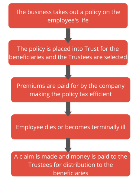 Relevant Life Insurance Plan | Compare Quotes Today